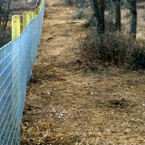 Wildlife Fencing – 4 Corners Fencing