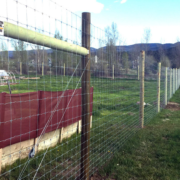 Wildlife Fencing – 4 Corners Fencing