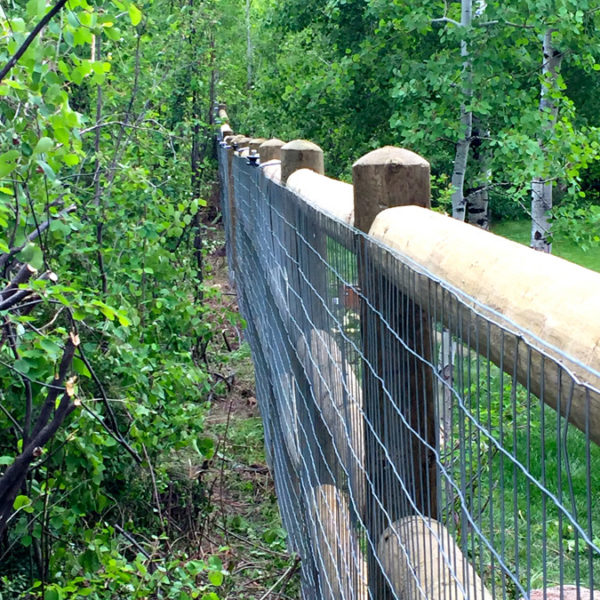 Wildlife Fencing – 4 Corners Fencing